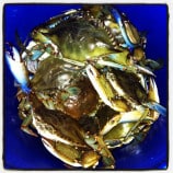 Crab Rangoon - A Family Feast®