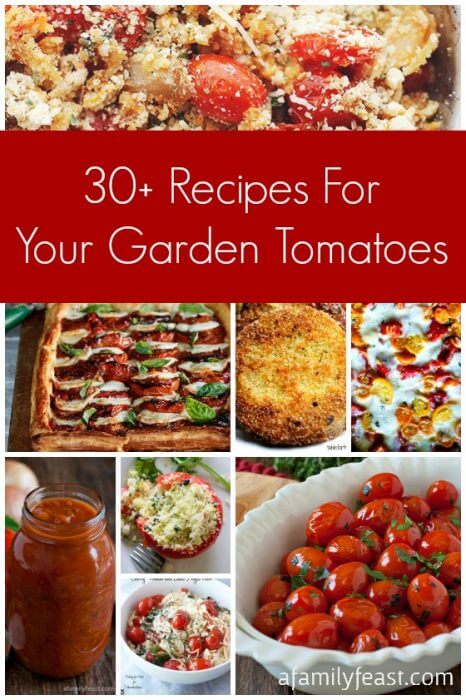 30+ Recipes for your Garden Tomatoes - A Family Feast®