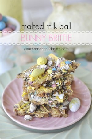30+ Recipes for Malted Milk Lovers - A Family Feast®