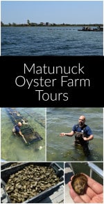 Matunuck Oyster Bar Stew - A Family Feast®