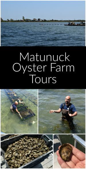 Matunuck Oyster Bar Stew - A Family Feast®