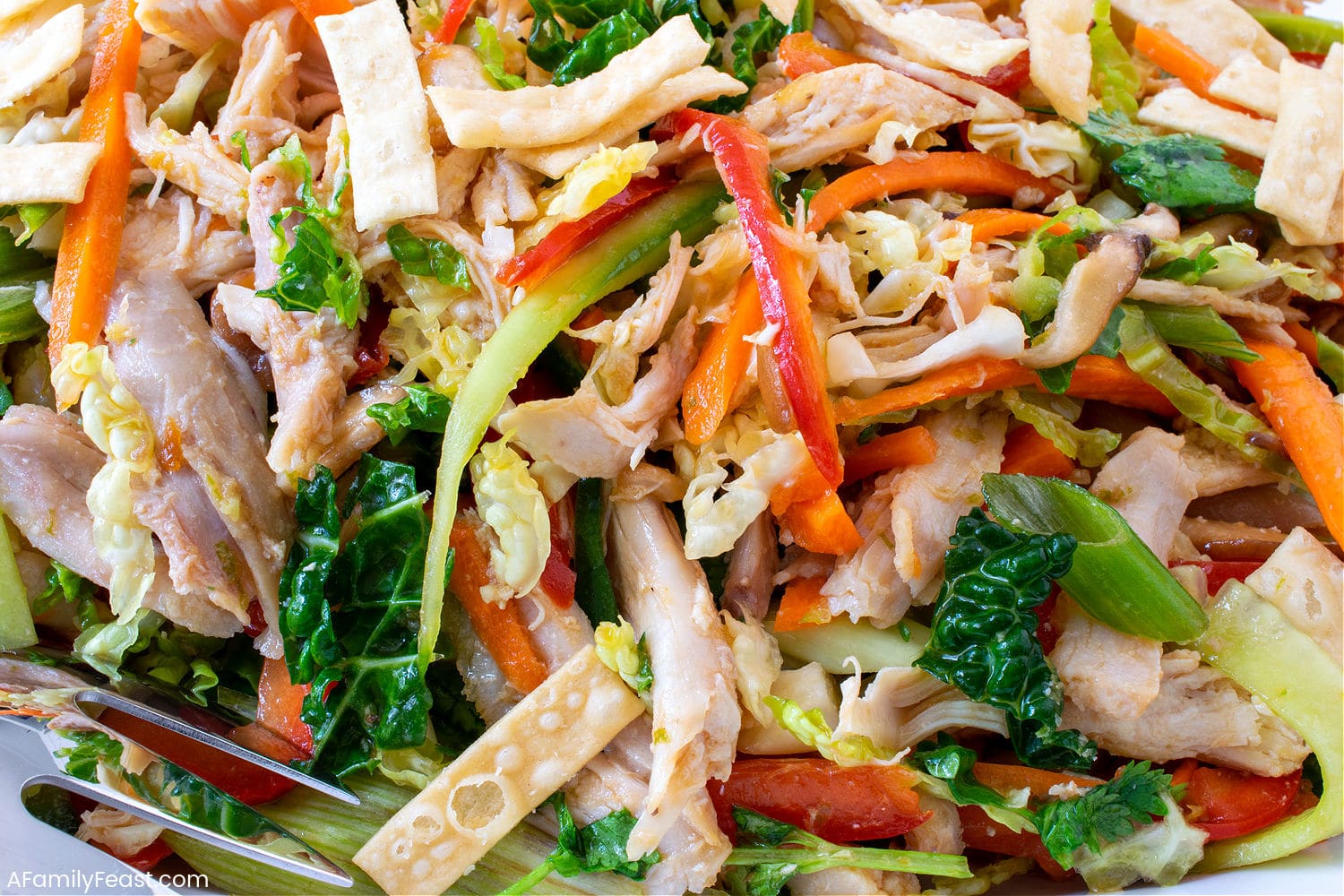 Chicken Fried Rice Salad - A Family Feast®