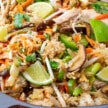 Chicken Fried Rice Salad - A Family Feast®