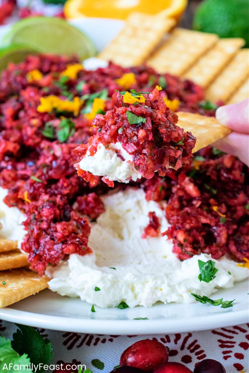 Cranberry Salsa - A Family Feast®